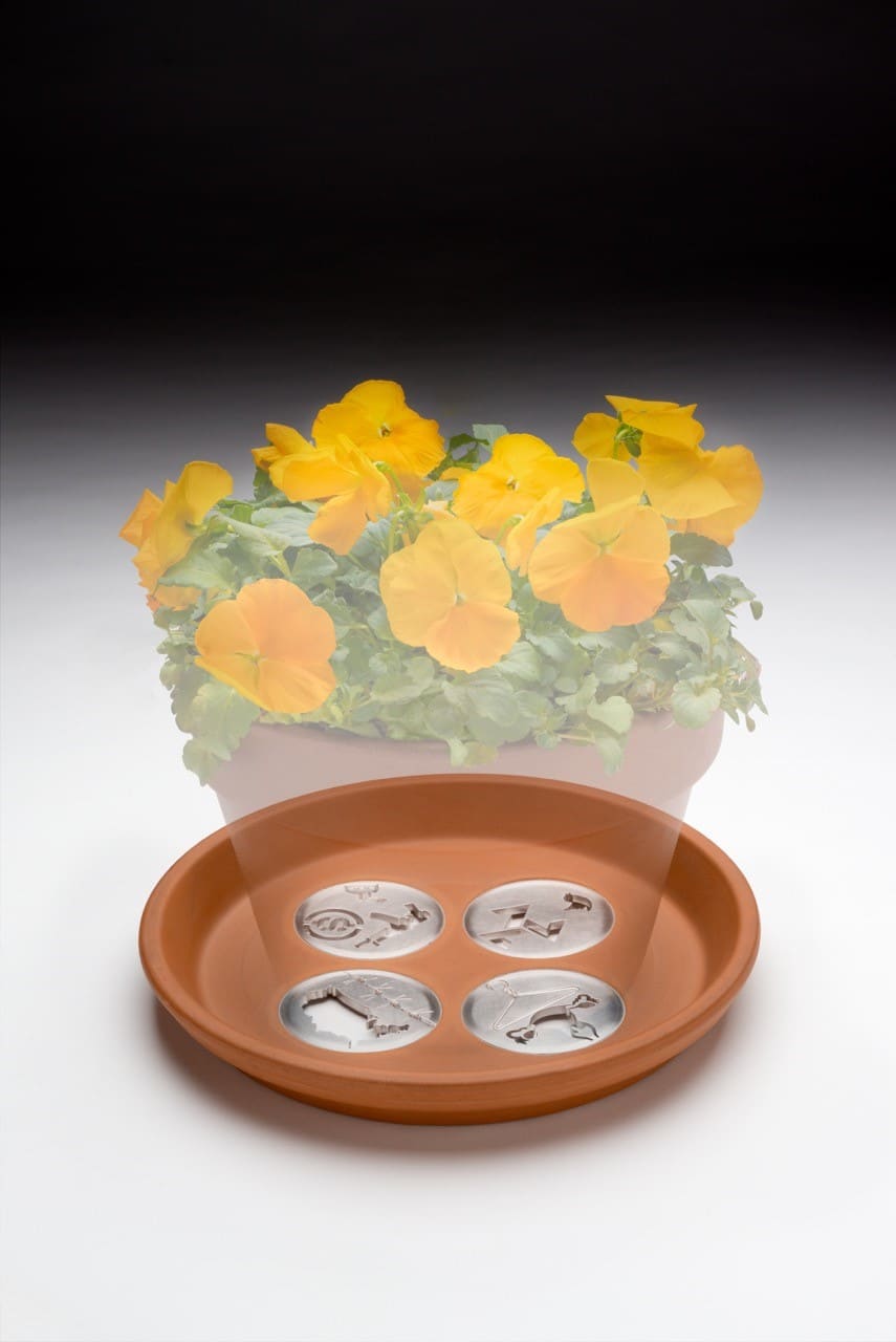 Doing – Boris Bally